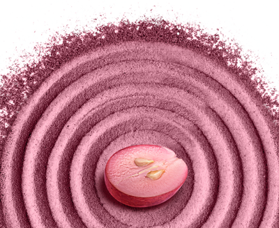 VINIA by Bioharvest – Vinia